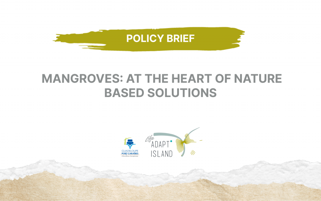Policy Brief : Mangroves : at the heart of nature based solutions
